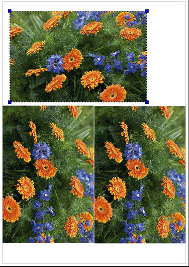 Easyboost Photo Print-print your digital photos